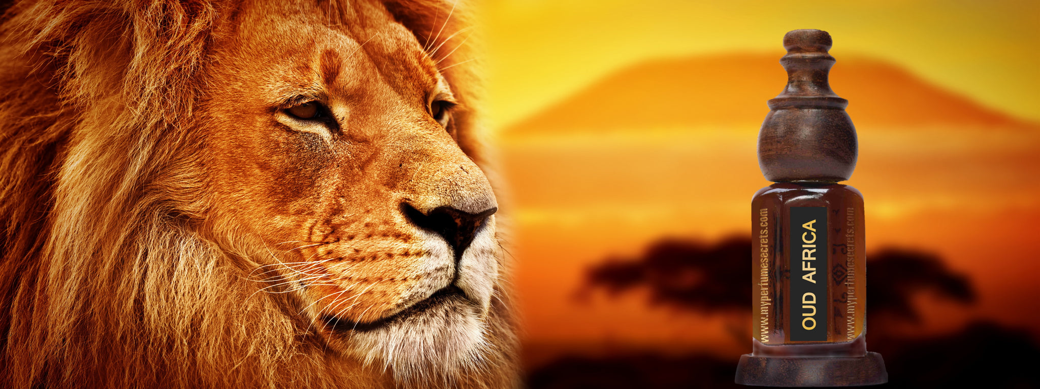 OUD AFRICA – MY PERFUME SECRETS